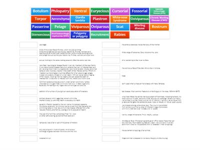 Wildlife - Teaching resources