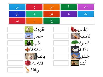 Arabic letters shapes - موارد تعليمية