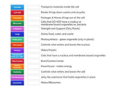 Cell organelles - Teaching resources