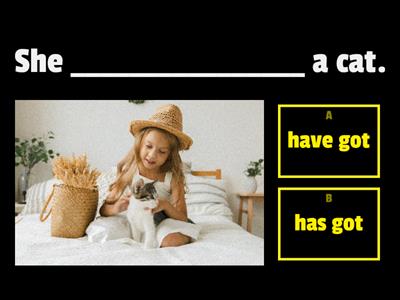 Verb have got - Recursos de ensino