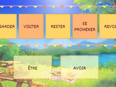 Fle être ou avoir - Ressources pédagogiques