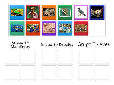 Juego de clasificacion de animales vertebrados e invertebrados ...