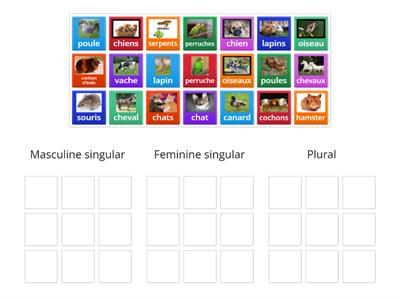 Les animaux - Teaching resources