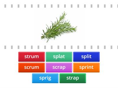 Three letter blends - Teaching resources