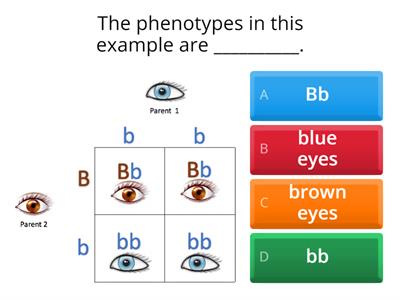 Monohybrid punnett square - Teaching resources