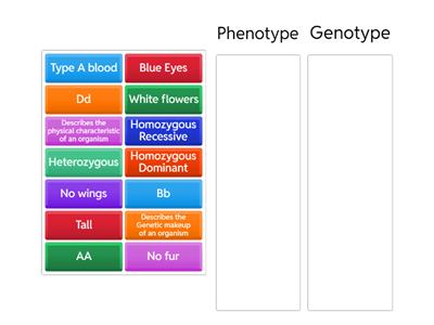 Genotype phenotype dominant recessive - Teaching resources