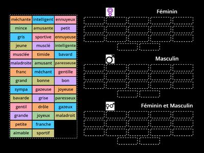 Adjectifs masculin et féminin - Ressources pédagogiques