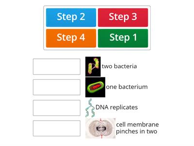 Binary - Teaching resources