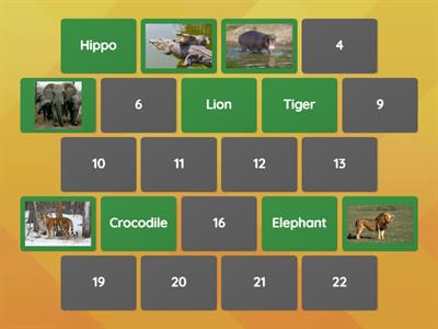 Animals Zoo - Teaching resources