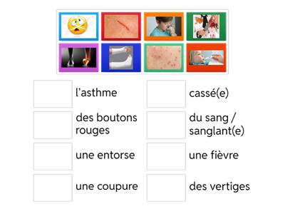 Maladies - Teaching resources