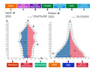 Population pyramids - Teaching resources