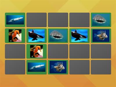 Animals Ocean - Teaching resources