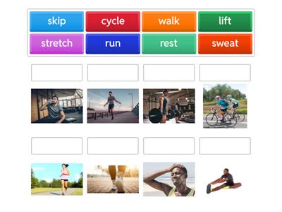 Gym - Recursos de ensino