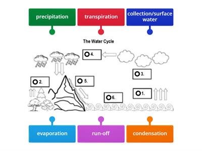 Water cycle Grade 3 - Teaching resources