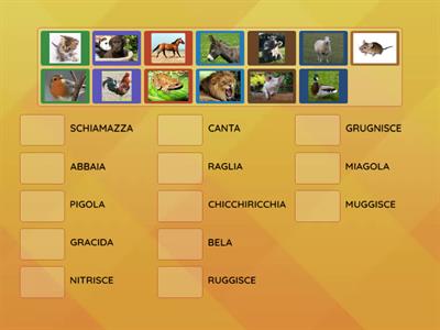 Animali Versi degli della fattoria - Risorse didattiche