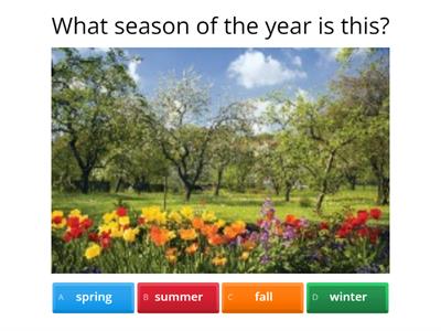 Vocabulary Clothes - Recursos didácticos