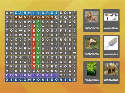 Cadenas tróficas - Recursos didácticos