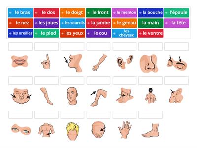 Les parties du corps - Ressources pédagogiques