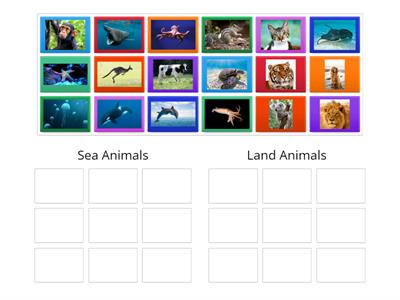Sea animals - Teaching resources