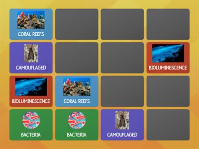 Adventure - Teaching resources