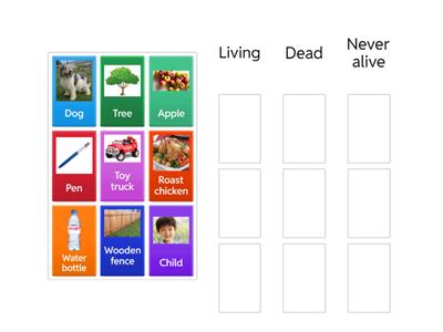 Alive dead or never alive - Teaching resources