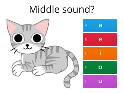 Missing middle sound - Teaching resources