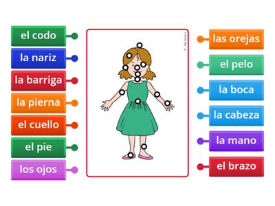 Face - Teaching resources