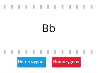 Heterozygous homozygous dominant recessive - Teaching resources