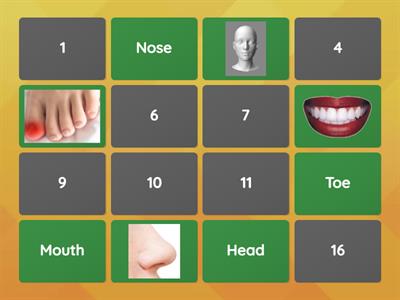 Head shoulder knees and toes - Teaching resources