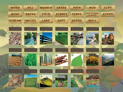 Nature - Recursos didácticos