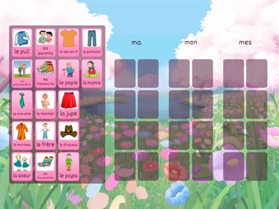 French Mon ma mes - Teaching resources