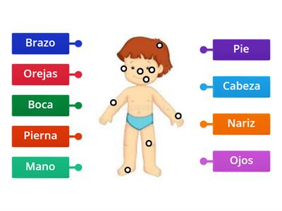 Francés La partes del cuerpo - Recursos didácticos