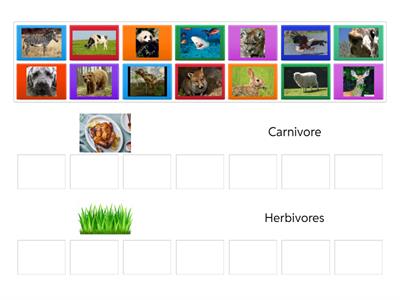 Herbivore carnivore omnivore - Teaching resources