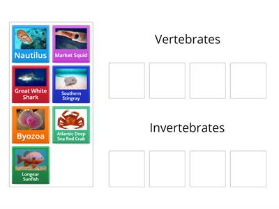 Vertebrates - Teaching resources