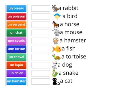 Les animaux - Teaching resources