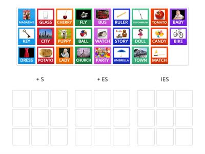 Plural s es ies - Teaching resources