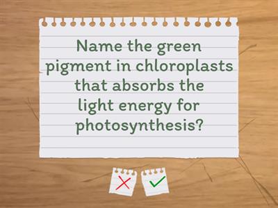 Photosynthesis - Teaching resources