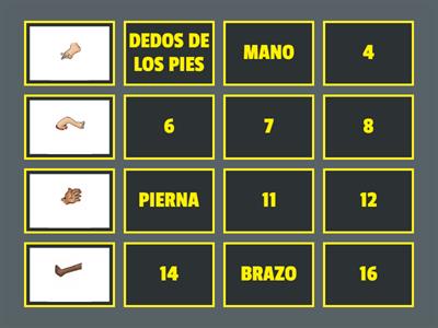 Juego partes del cuerpo - Recursos didácticos