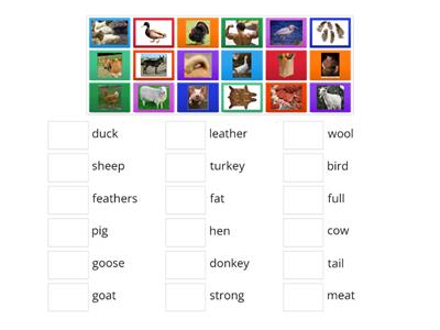 Farm animals - Výukové zdroje