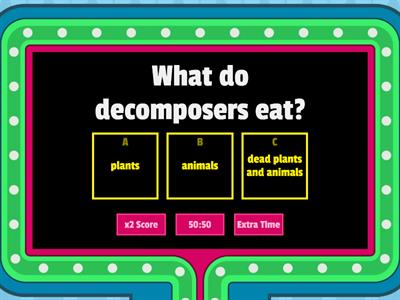 Decomposers - Teaching resources
