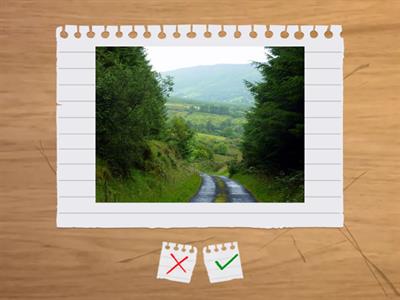 Sa bhaile seomrai - Teaching resources