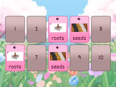 Plants Games - Teaching resources