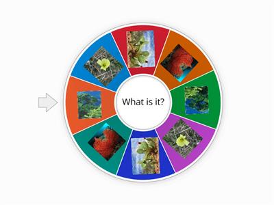 Habitat - Teaching resources