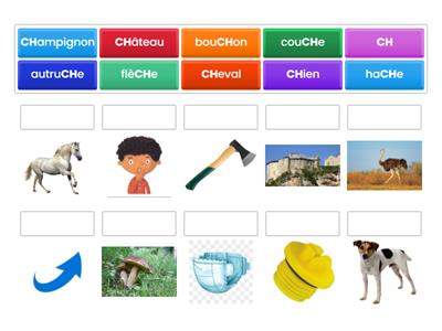 Mots son oi - Ressources pédagogiques