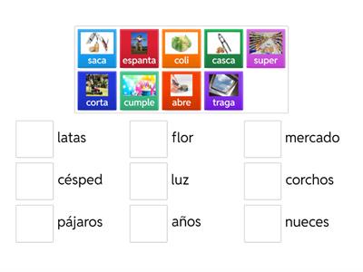 Palabras simples y compuestas - Recursos didácticos
