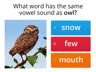 Oi ou au ow aw oy - Teaching resources