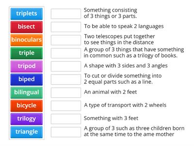 Prefix bi - Teaching resources