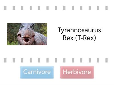 Herbivore carnivore omnivore - Teaching resources