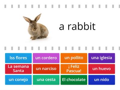 Easter - Teaching resources