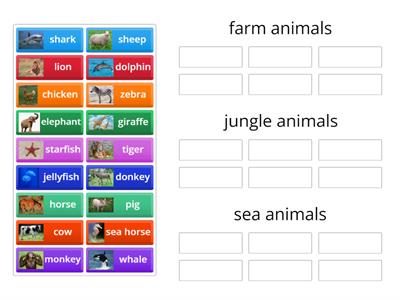 Animals under the sea - Recursos didácticos